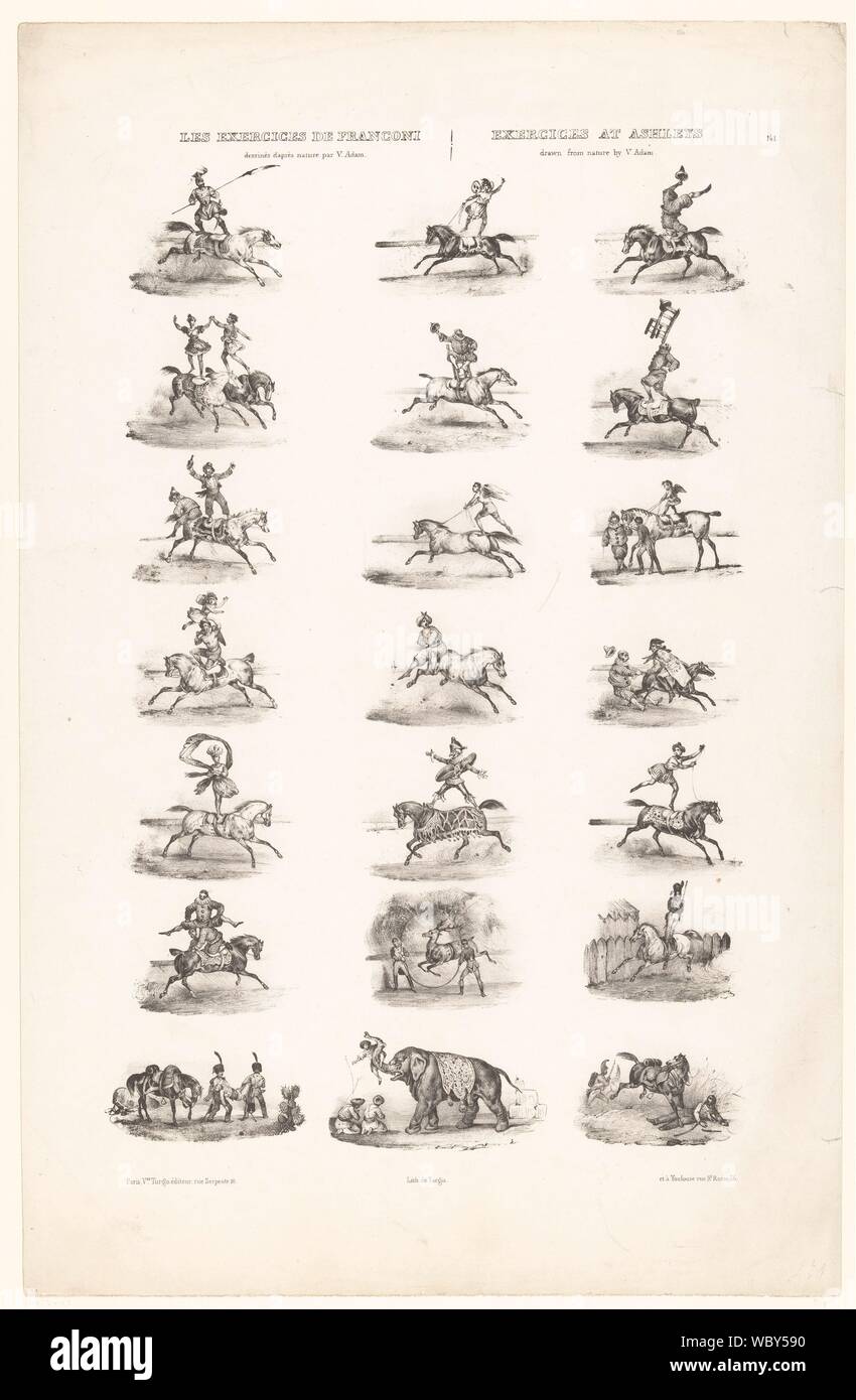 Lion victor at the zoo lion victor at the zoo hi-res stock photography ...