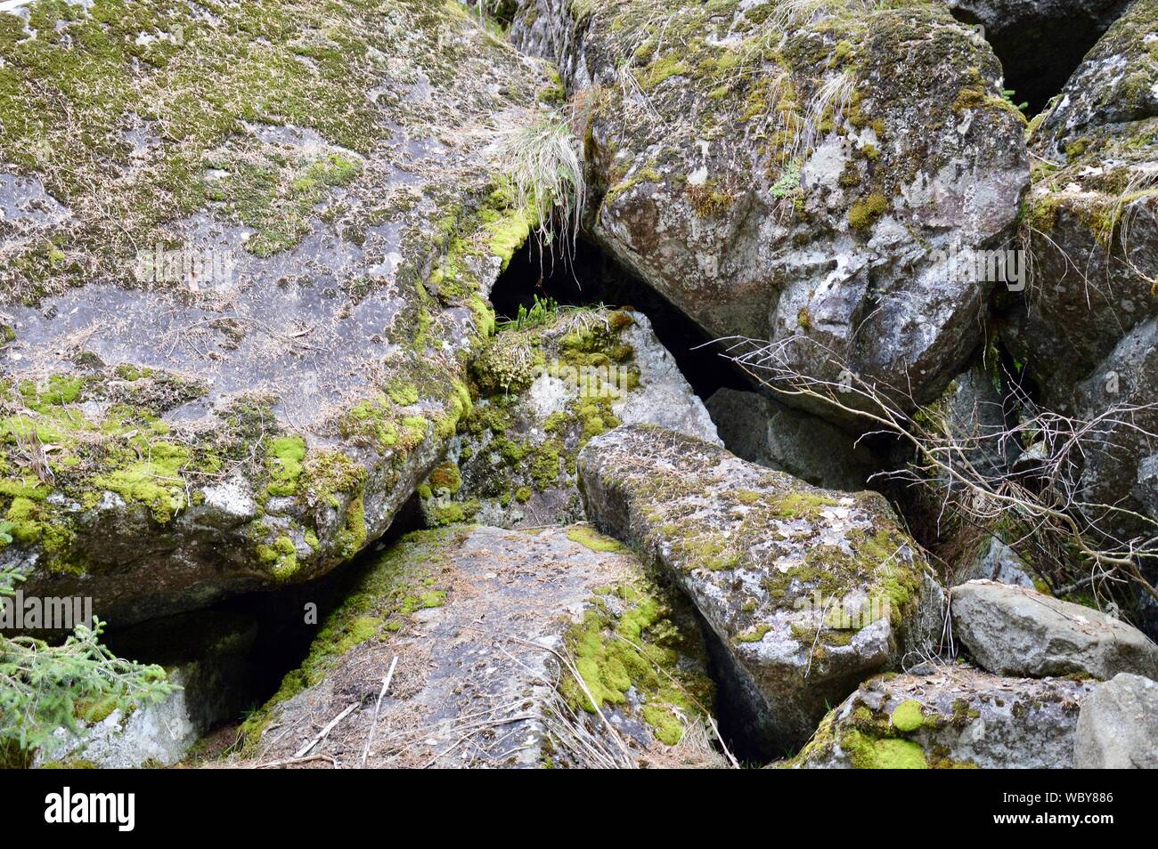 granite rocks in northern Italy covered with lichen and moss Stock ...