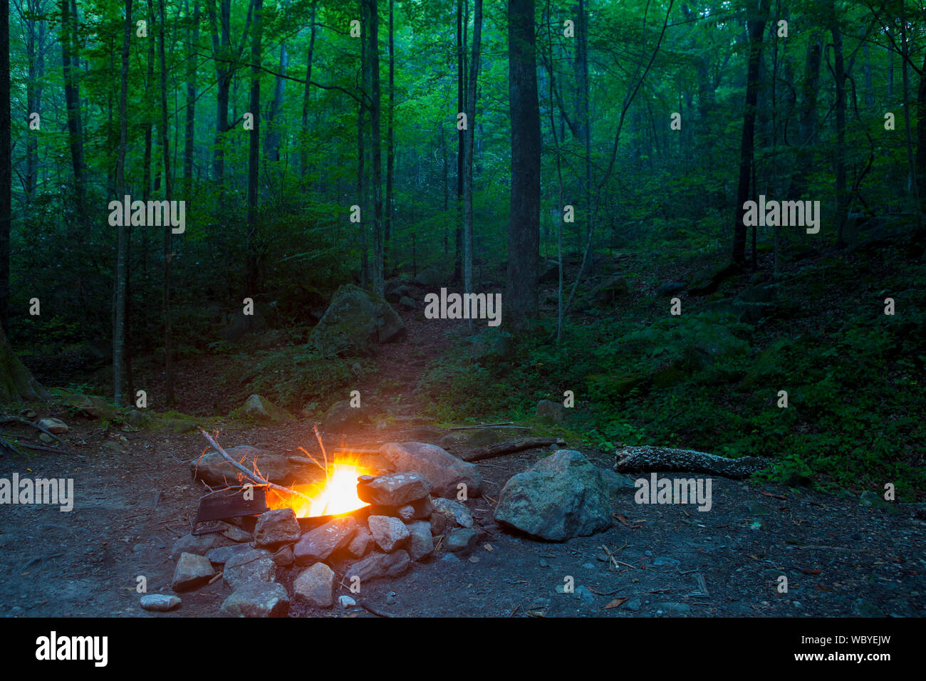 abandoned campfire at night in forest Stock Photo - Alamy