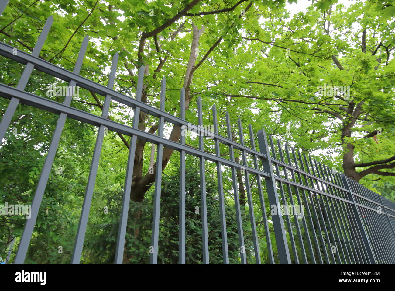 Black fence and forest nature background Stock Photo - Alamy