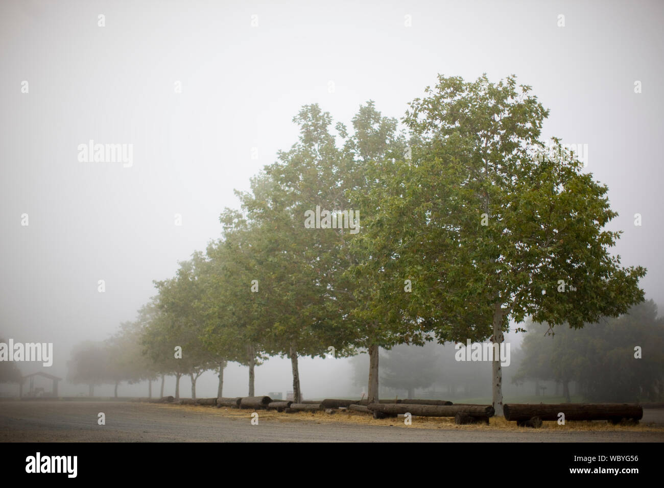 Obscured by fog hi-res stock photography and images - Alamy