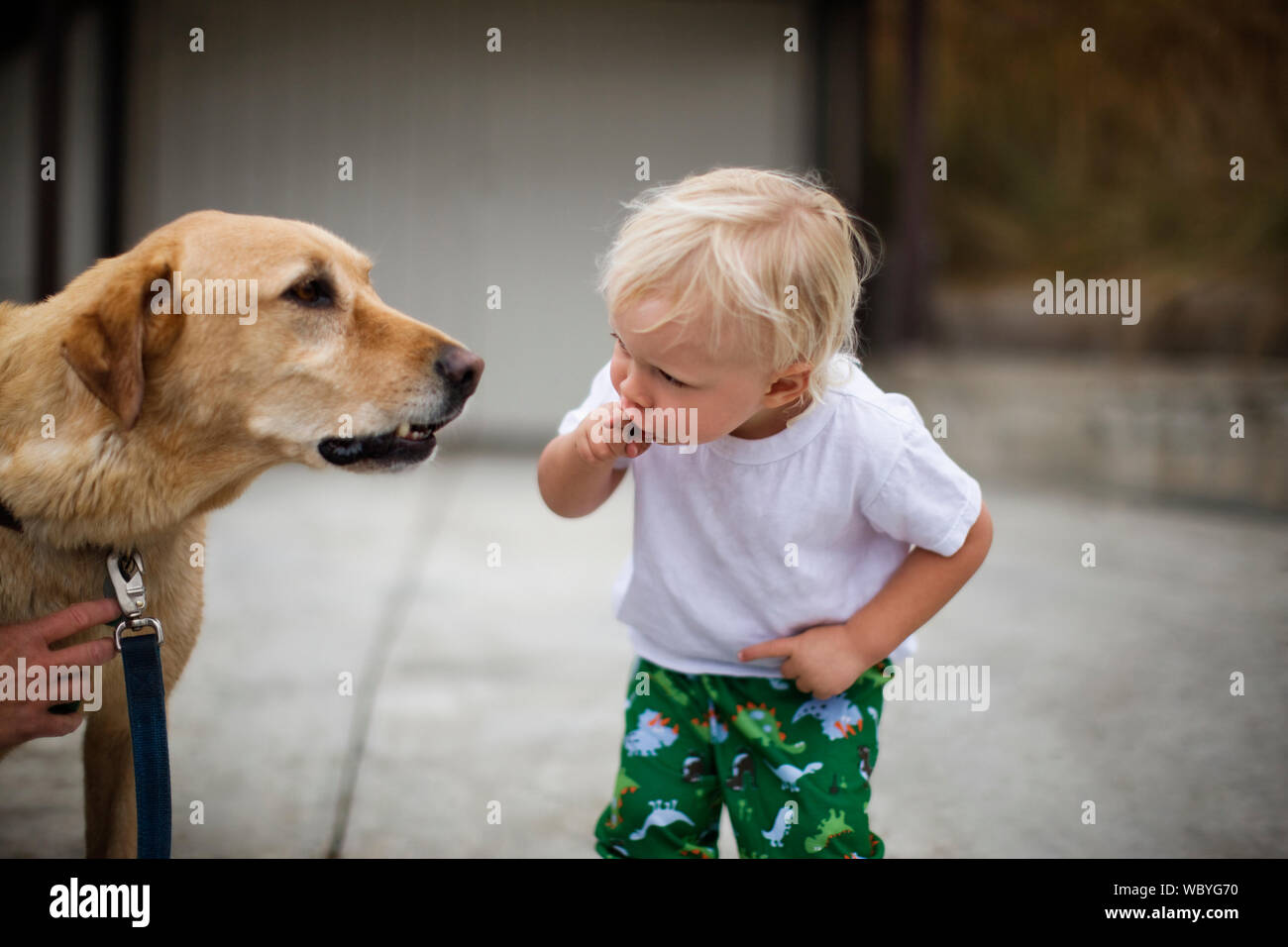 Animals toddlers hi-res stock photography and images - Alamy