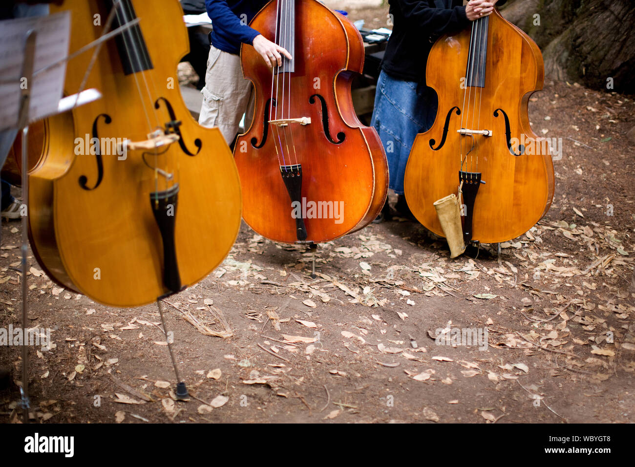Three Chellos in a row being held and plucked by musicians Stock Photo ...