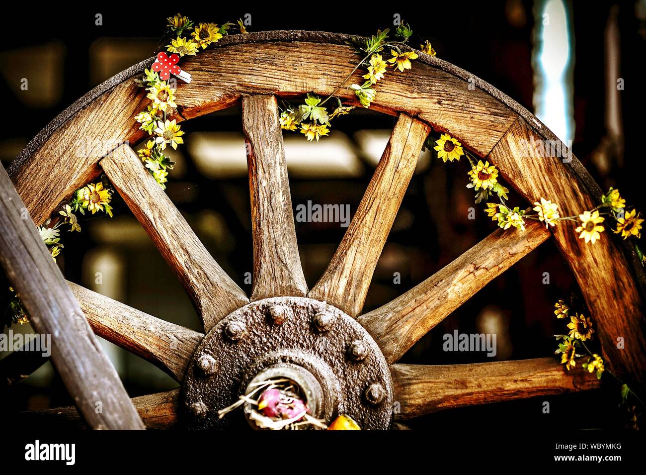 Old Wagon Wheel Flowers High Resolution Stock Photography and Images ...