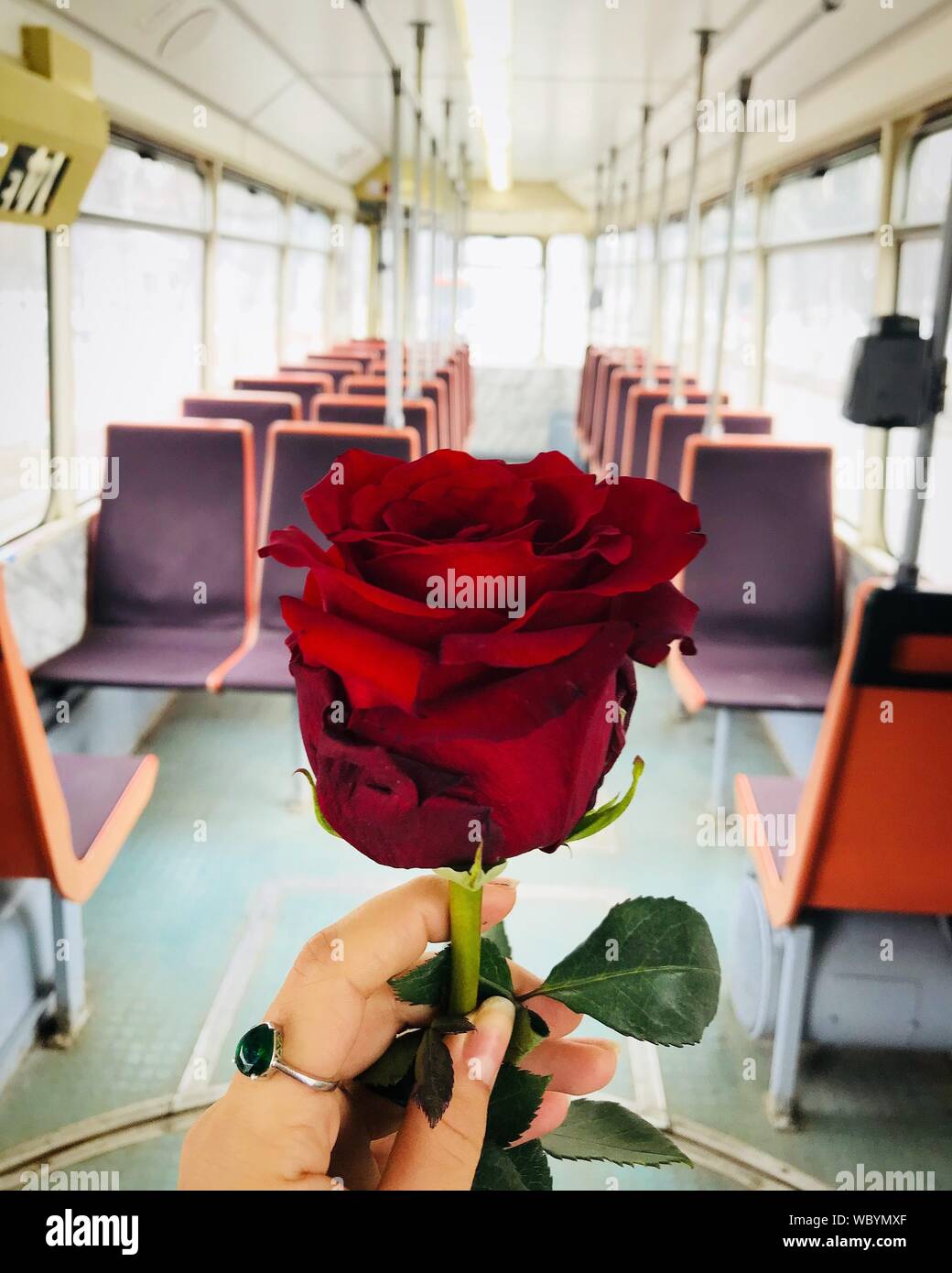 Bus seat red hi-res stock photography and images - Alamy