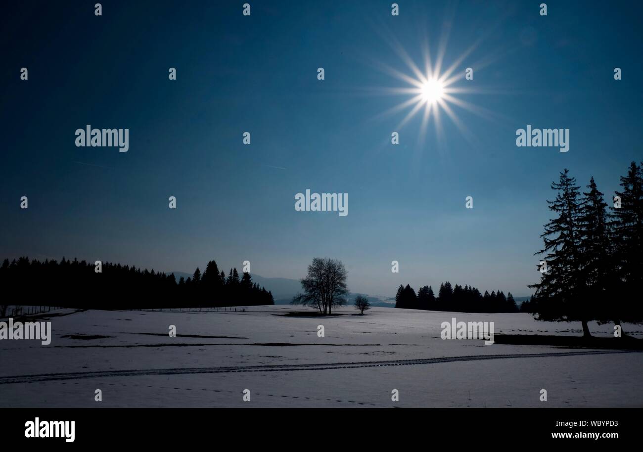 Sun shining on trees in snow hi-res stock photography and images - Alamy