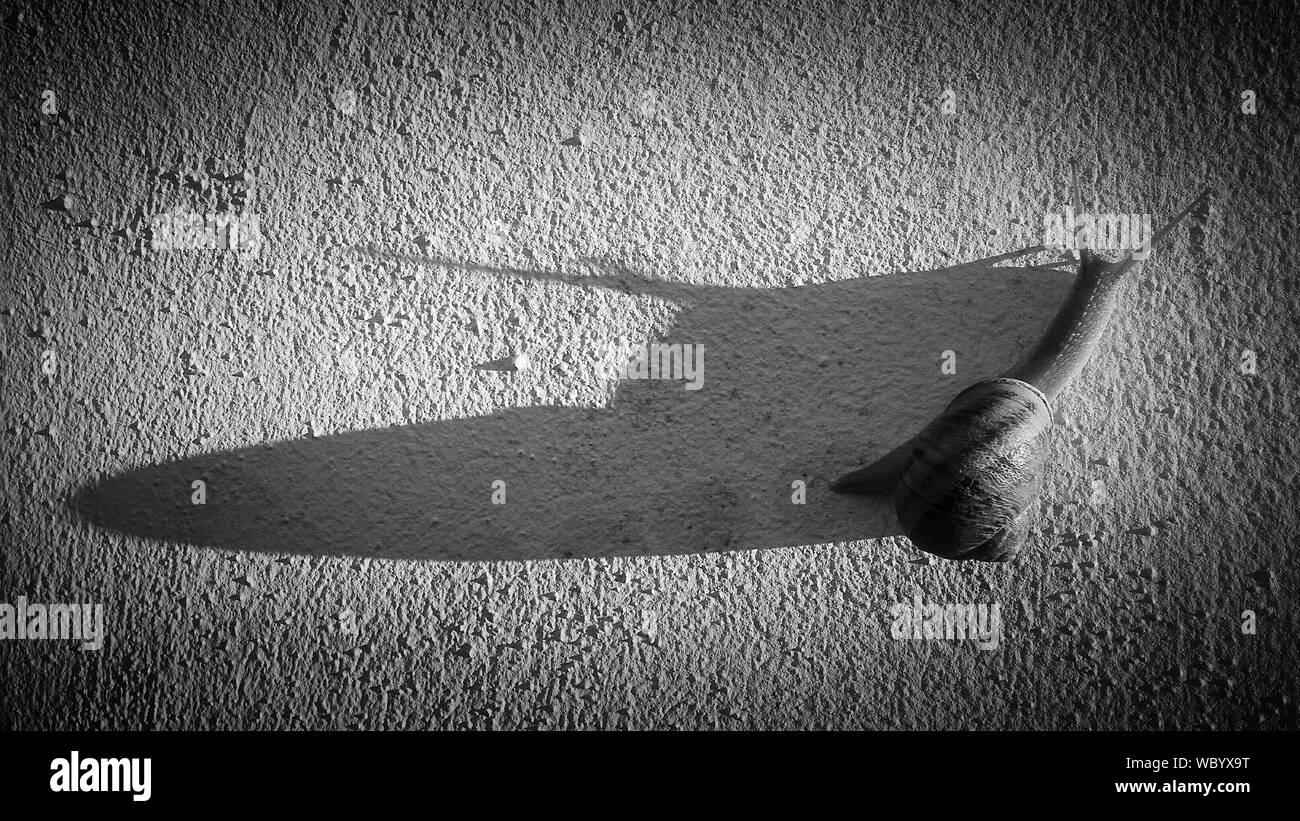 Concrete snail or croissant hi-res stock photography and images - Alamy