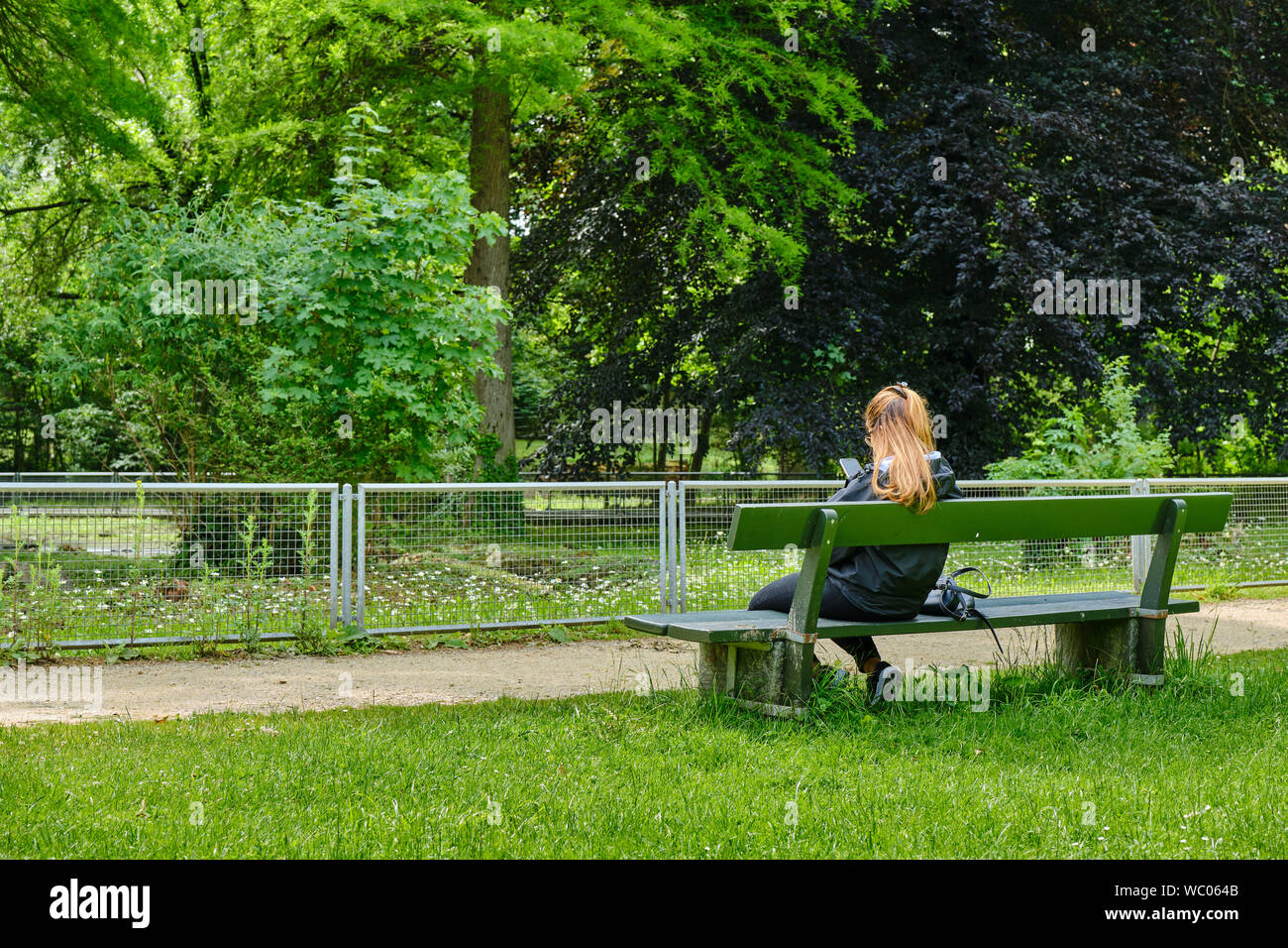 Rear View Of Woman Sitting On Bench In Park Stock Photo - Alamy