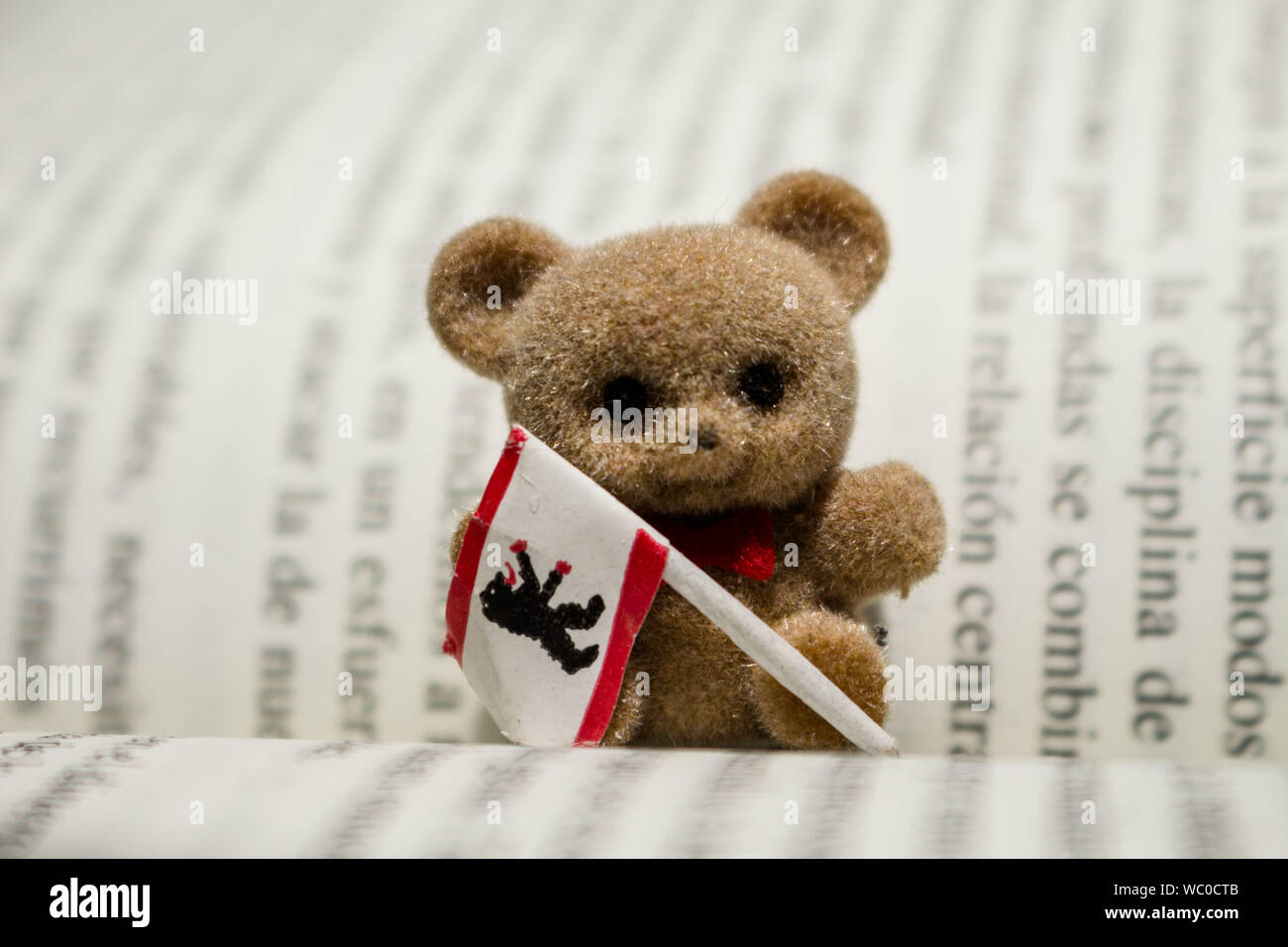 The teddy bear book hi-res stock photography and images - Alamy