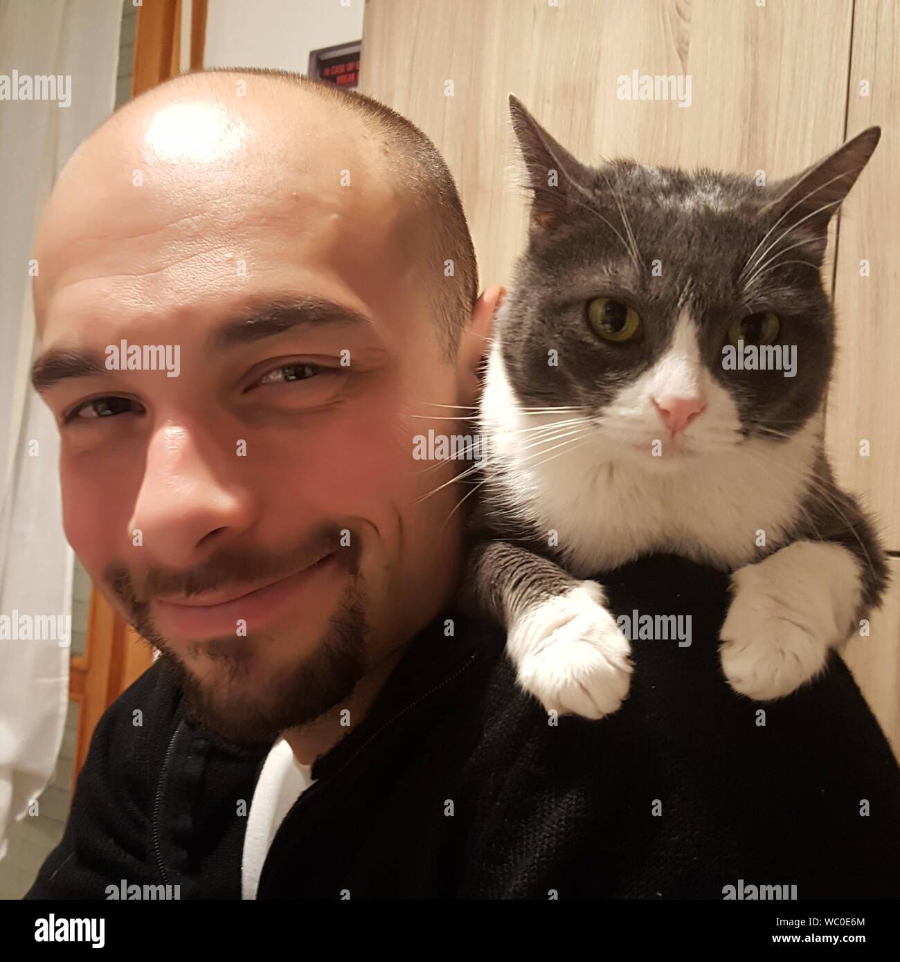 Man cat on shoulder hi-res stock photography and images - Alamy