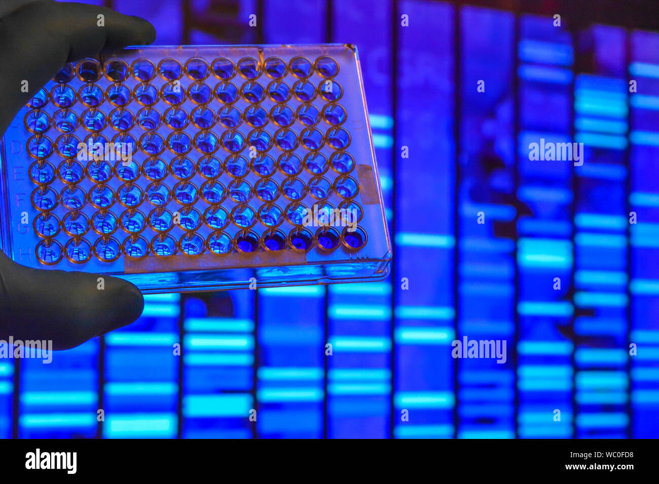 Dna mapping hi-res stock photography and images - Alamy