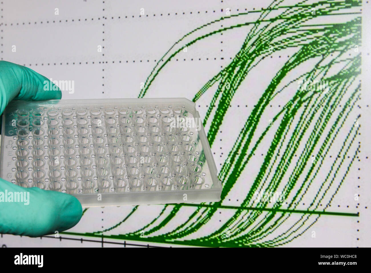 Research method real-time PCR. 96-well plate on the background of ...