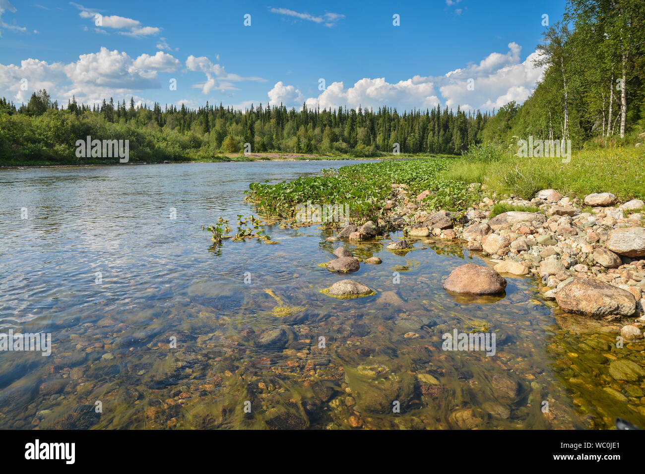 Summer day with river hi-res stock photography and images - Alamy