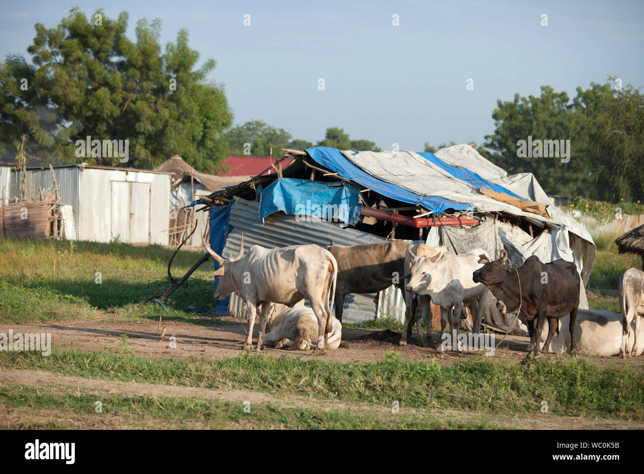 Shack made of rubbish in South Sudan Stock Photo - Alamy