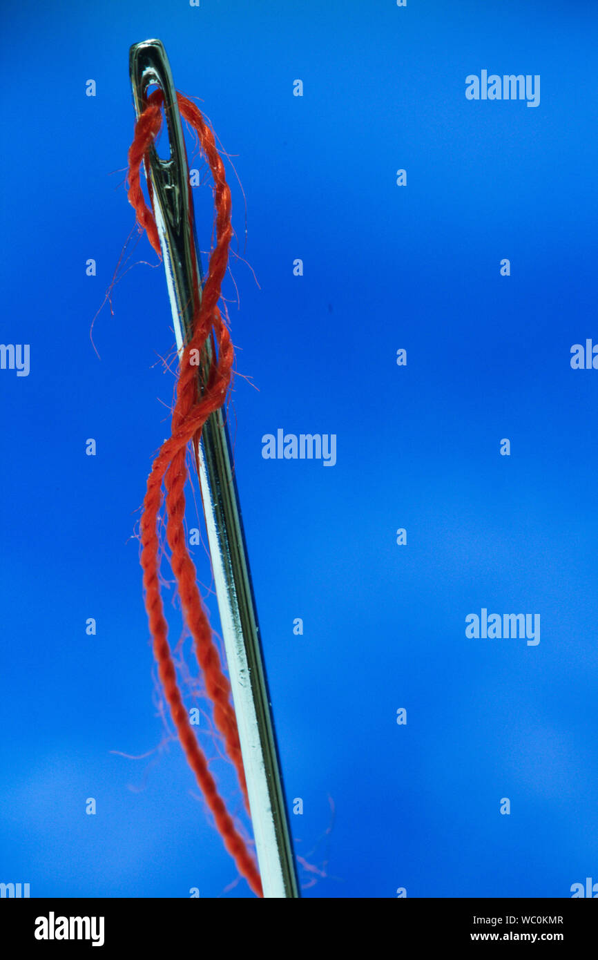 Blue needle hi-res stock photography and images - Alamy