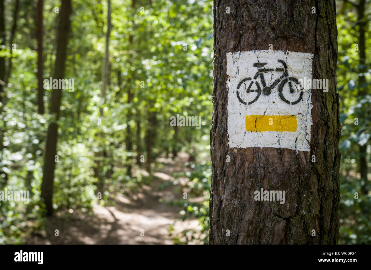 Biking track sign painted on a tree Stock Photo - Alamy