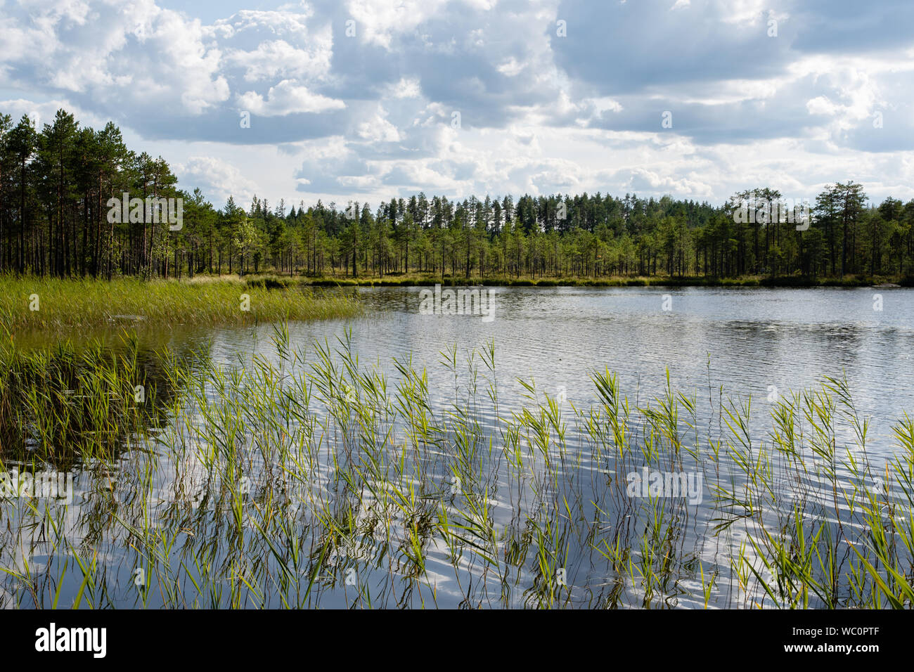 Beautiful afternoon landscape view hi-res stock photography and images ...