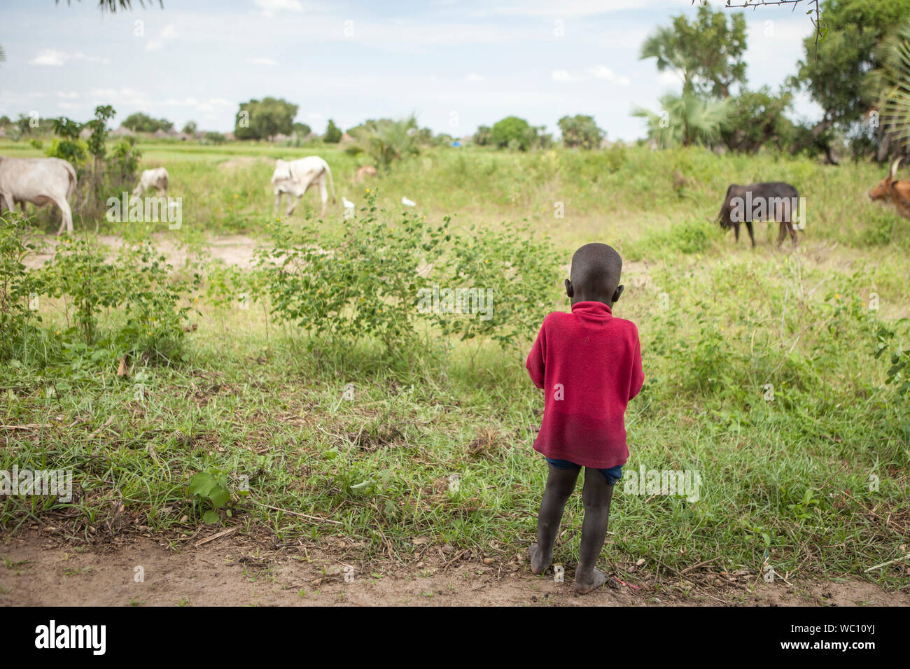Child cattle africa hi-res stock photography and images - Alamy