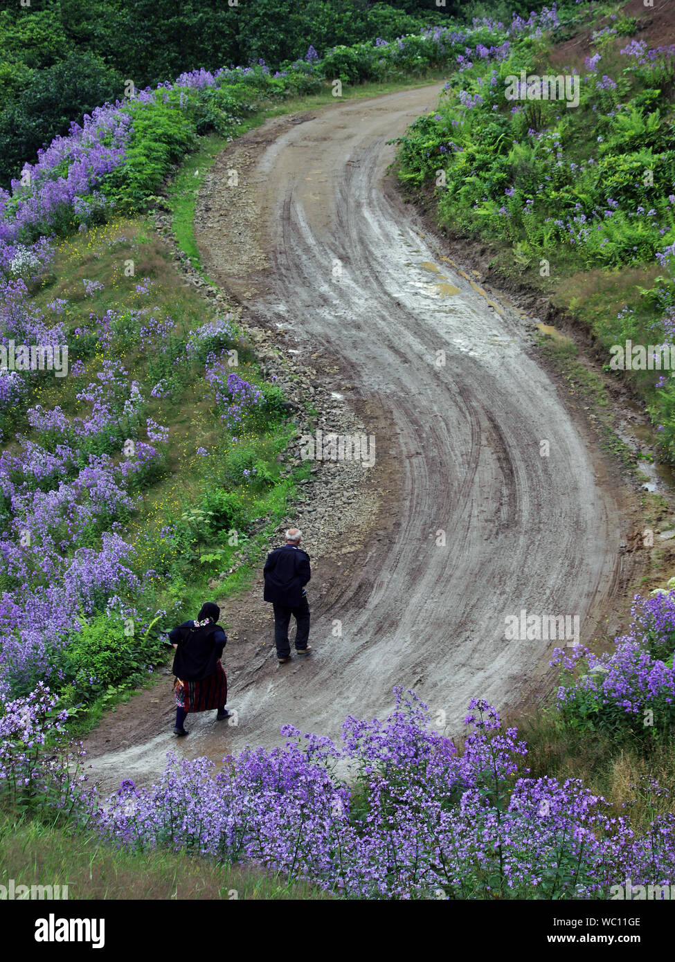 couple walking on flowers road in trabzon Stock Photo - Alamy