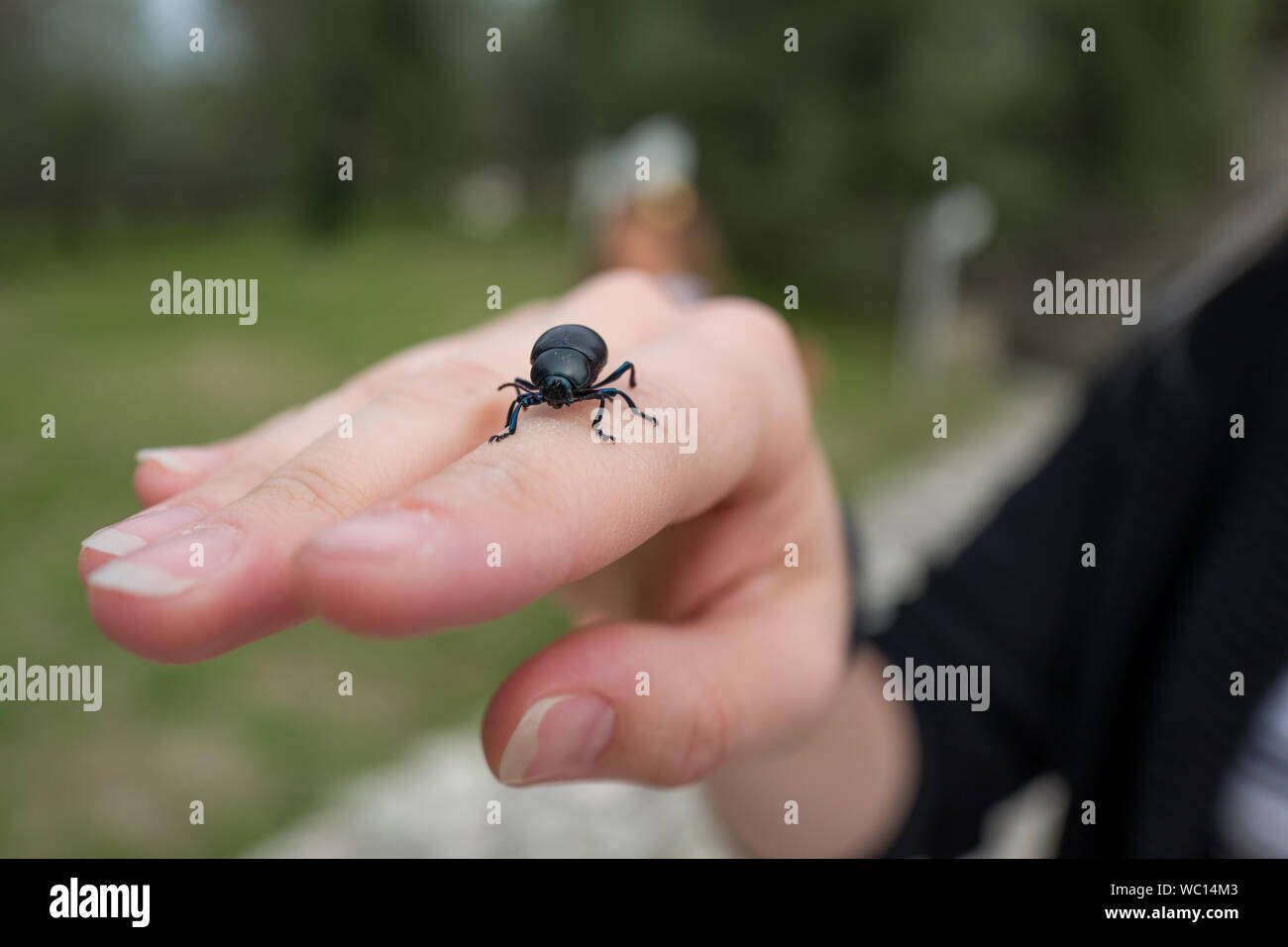 Hand bug hi-res stock photography and images - Alamy