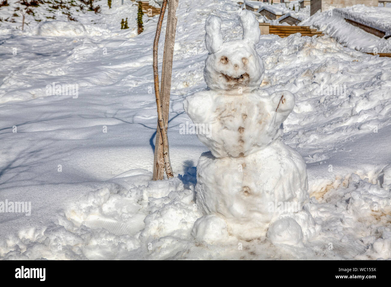 Ugly snowman hi-res stock photography and images - Alamy