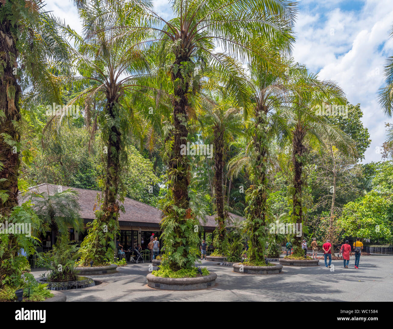 Singapore botanic gardens hi-res stock photography and images - Alamy