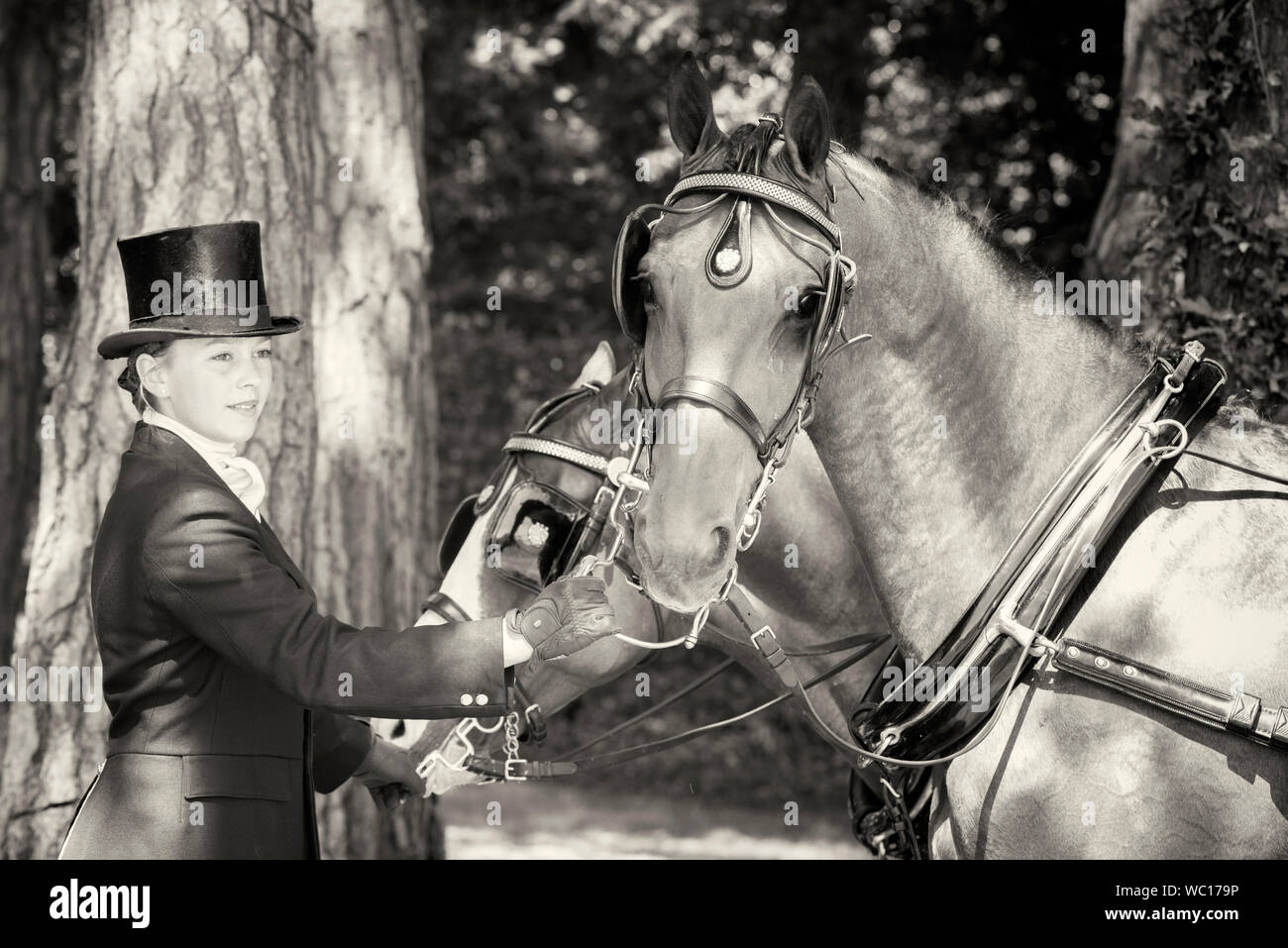 Female coachman hi-res stock photography and images - Alamy