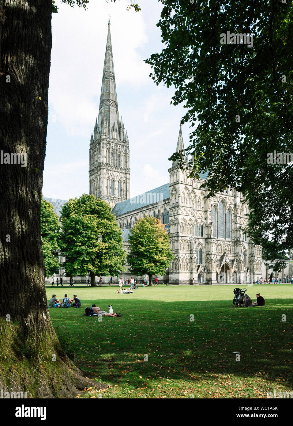 Salisbury cathedral magna carta hi-res stock photography and images - Alamy