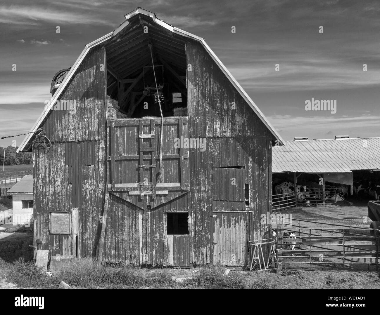 Third generation family business Black and White Stock Photos & Images ...