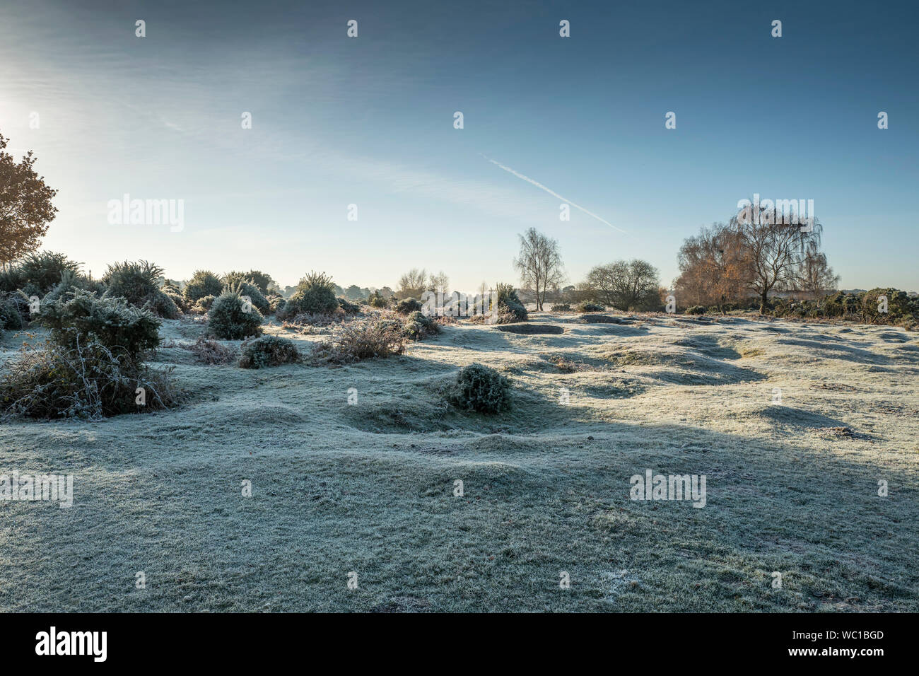Ground frost in park hi-res stock photography and images - Alamy