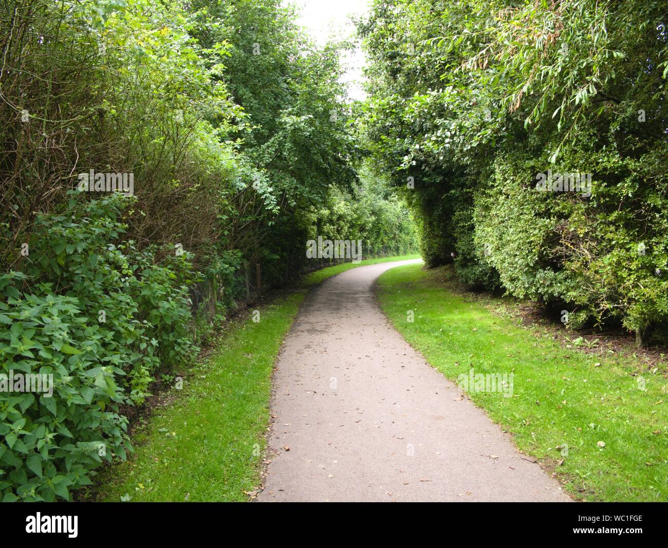 Green Grass Verge Stock Photos & Green Grass Verge Stock Images - Alamy