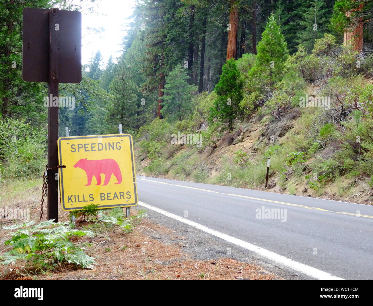Animal sign hi-res stock photography and images - Alamy