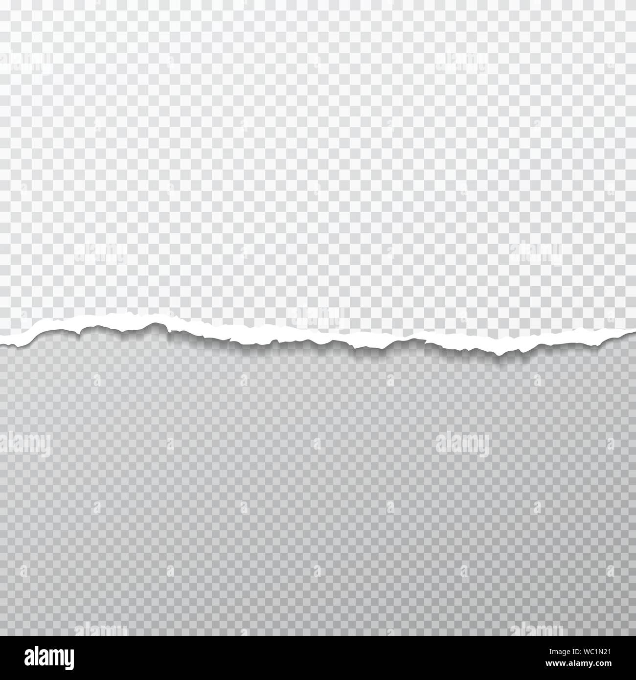 Torn, ripped white paper strips with soft shadow are on squared ...