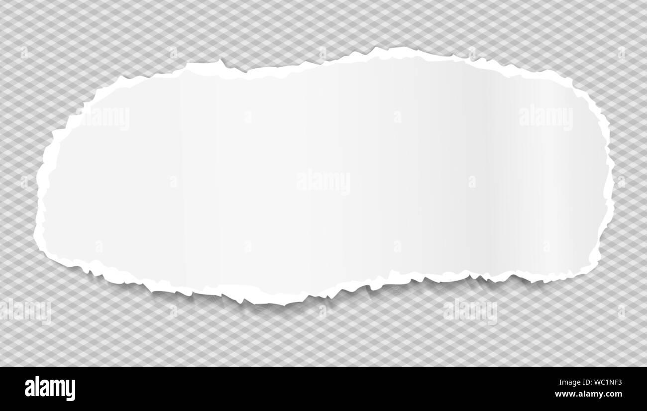 Torn, ripped white paper strips with soft shadow is on squared ...