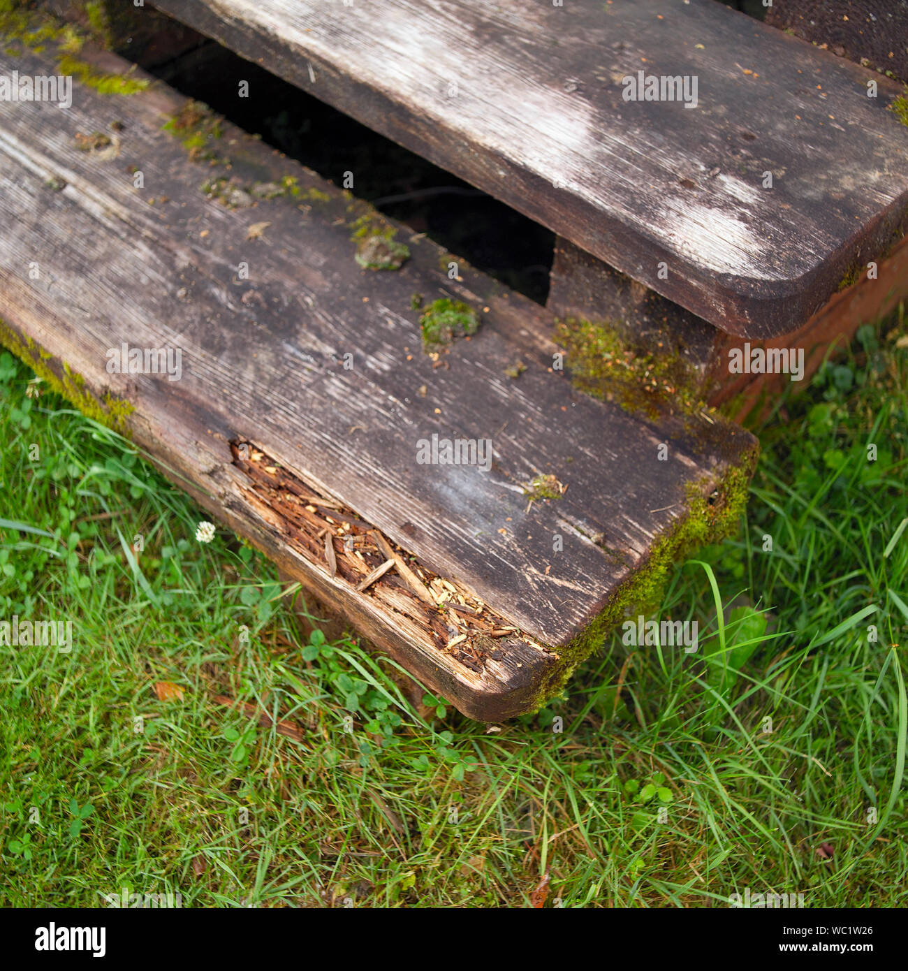 Closeup of old rotten wooden steps, outdoor shot Stock Photo - Alamy
