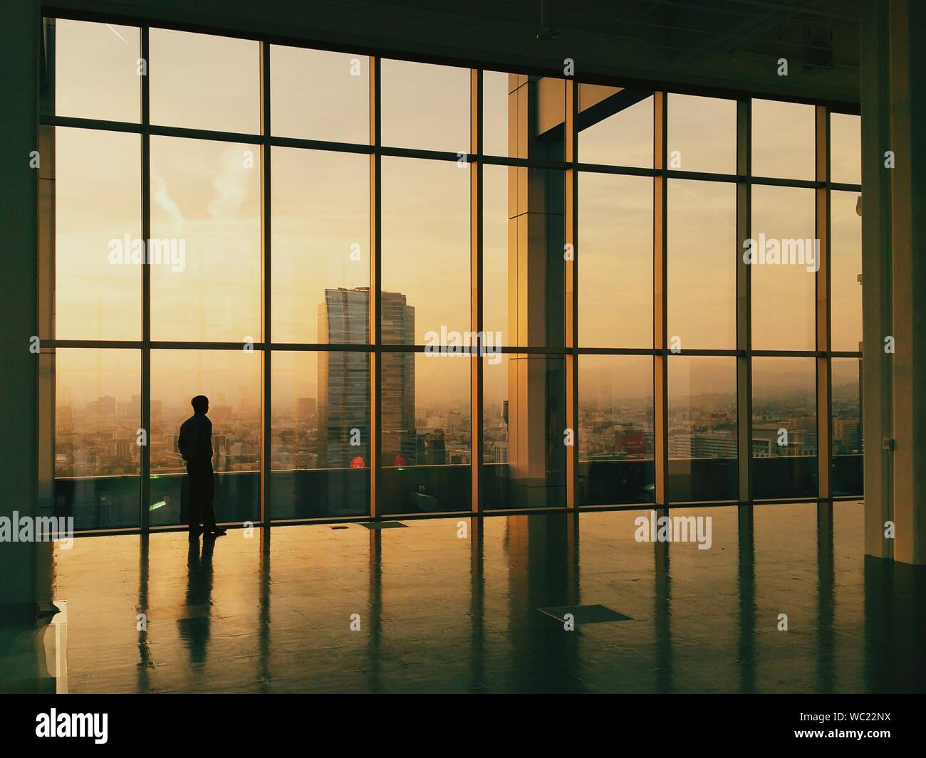 Person overlooking cityscape hi-res stock photography and images - Alamy