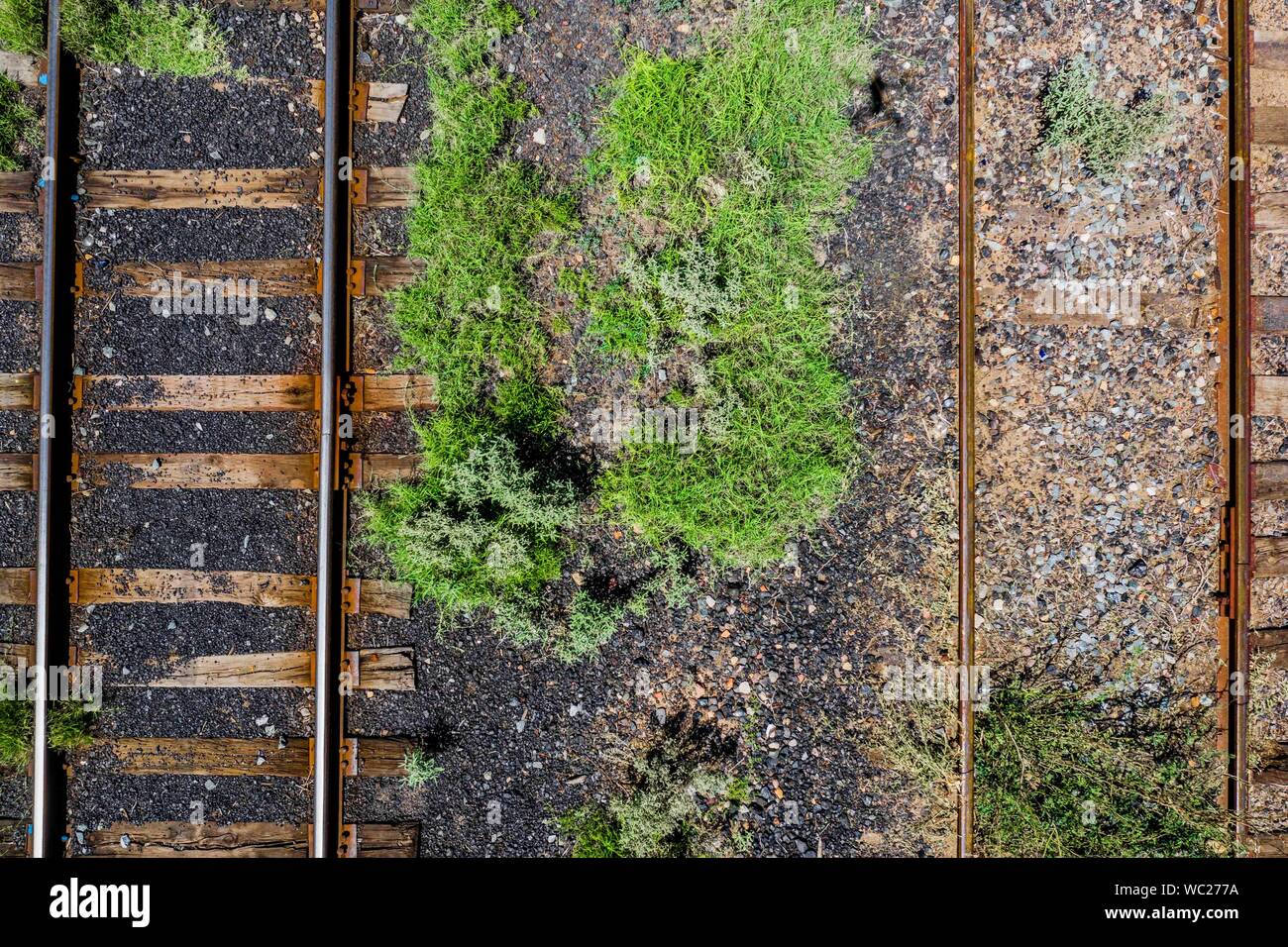 Tren madre hi-res stock photography and images - Alamy