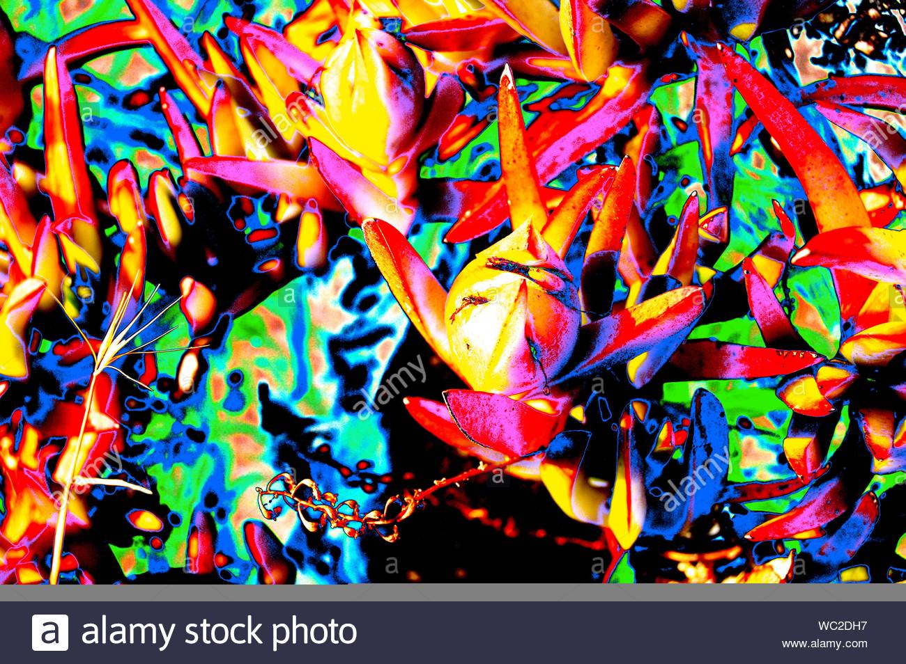 Shrubs Vector Vectors High Resolution Stock Photography and Images - Alamy