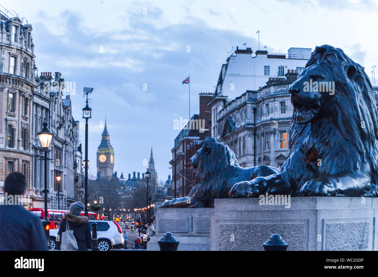Rear view lion hi-res stock photography and images - Alamy