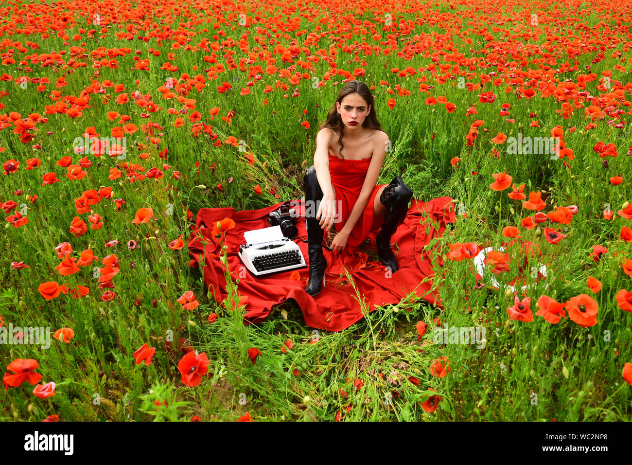 beautiful young woman typing on a typewriter Stock Photo - Alamy