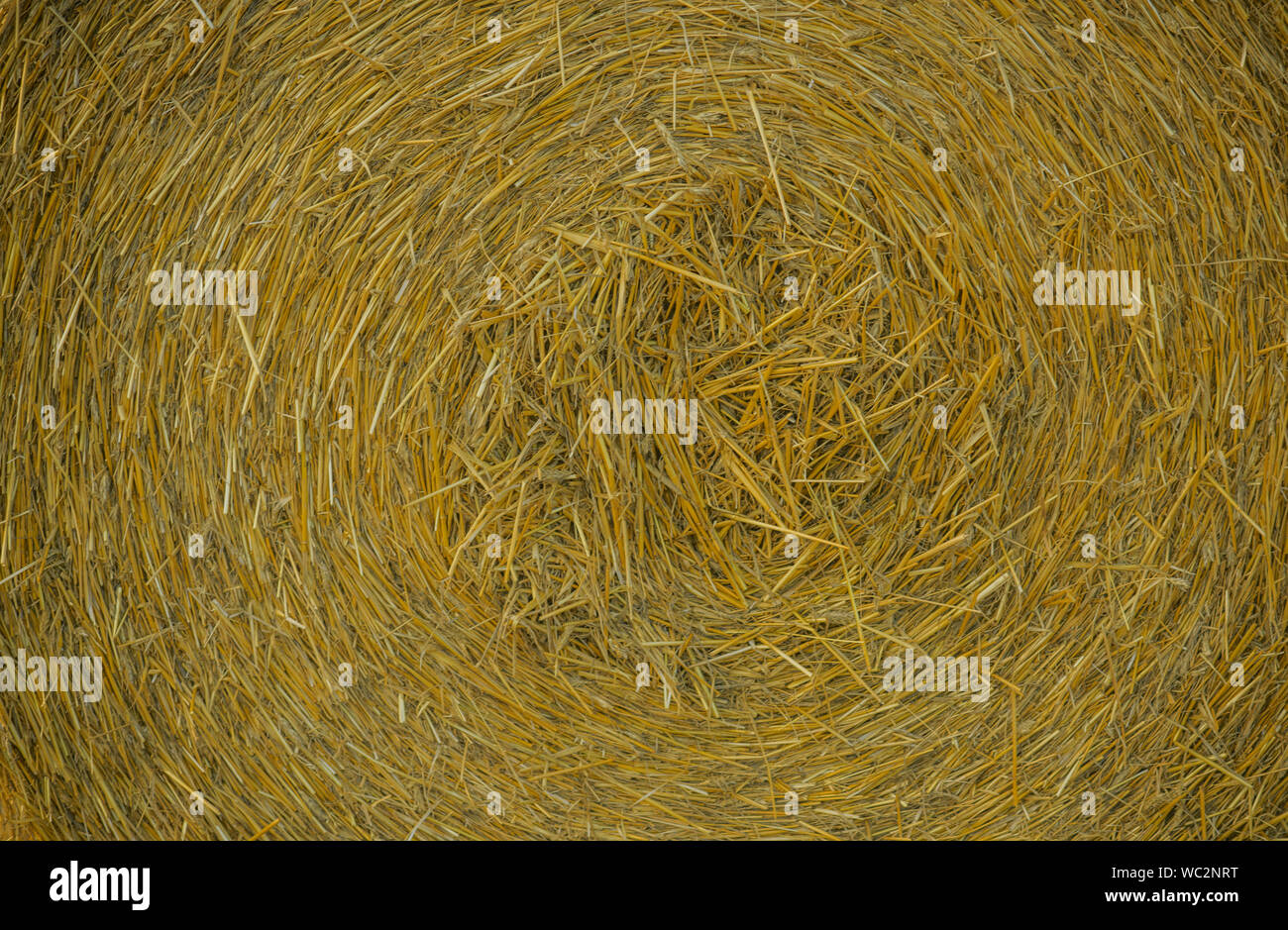 Hay background as front view of bale Stock Photo - Alamy
