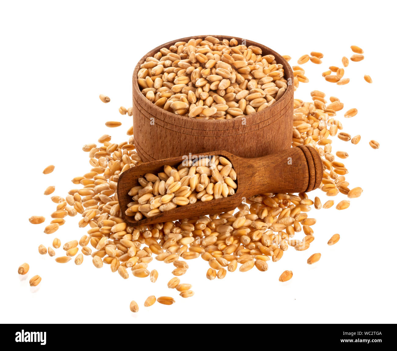 Wooden bowl and scoop of wheat grains, scattered wheat seeds isolated ...