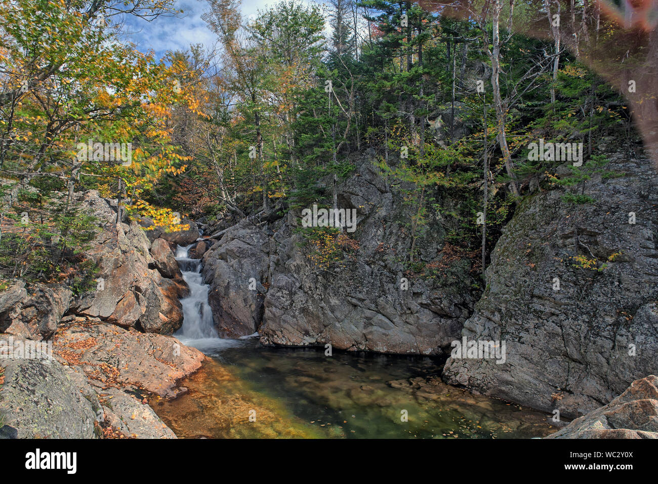Autumn fall foliage in forest ,Glen Ellis Falls Jackson NH Stock Photo ...