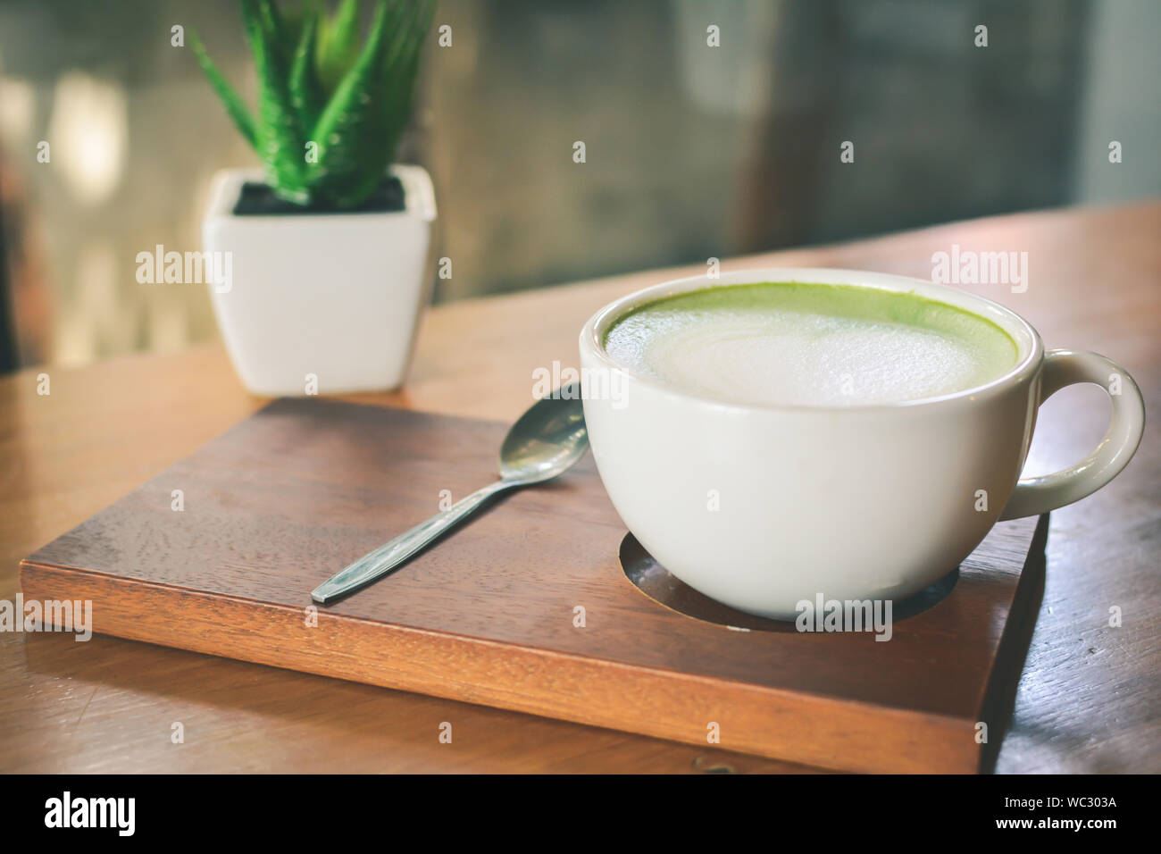 Matcha Tea Plant High Resolution Stock Photography and Images - Alamy