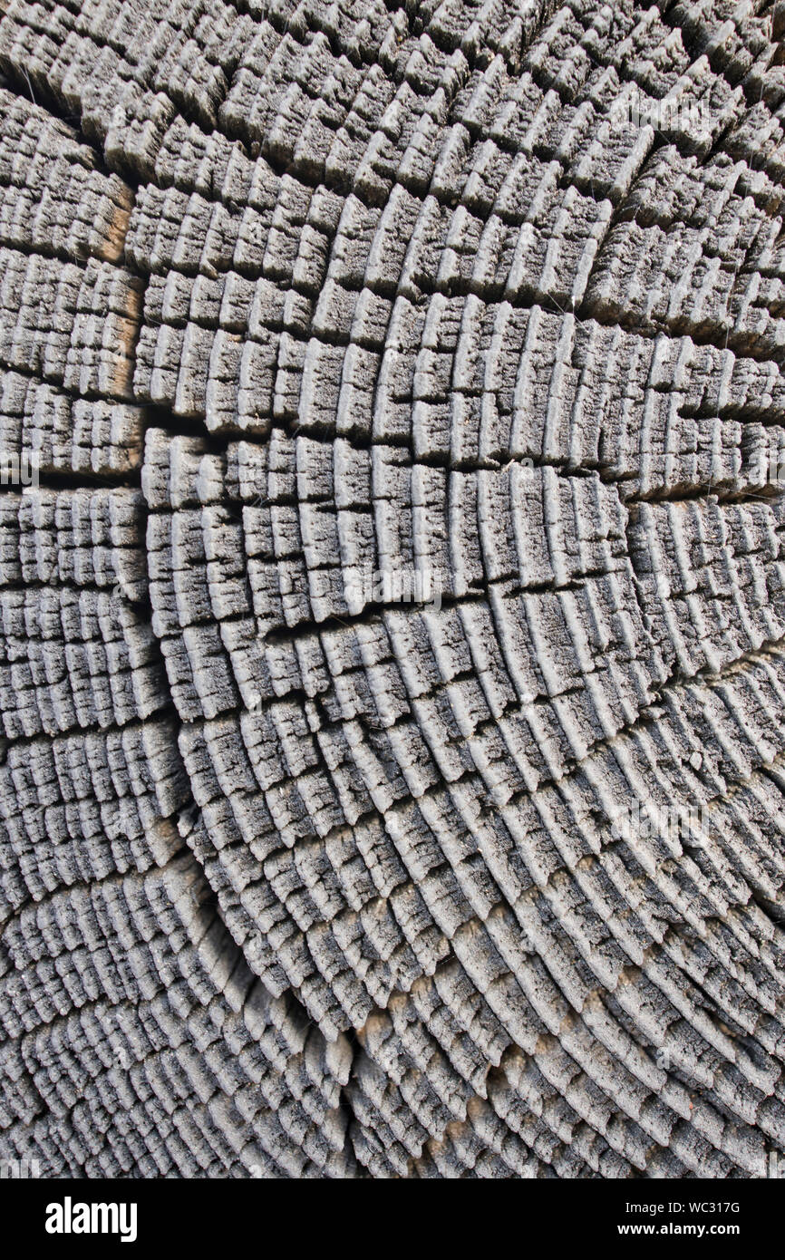 natural wood background or abstract organic texture Stock Photo - Alamy