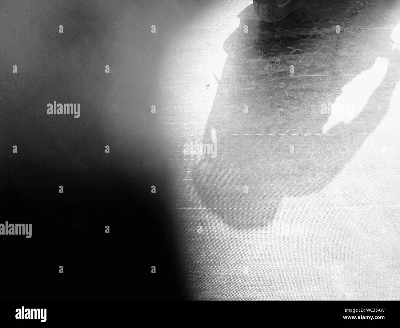 Shadow person shadow person mystery hi-res stock photography and images ...