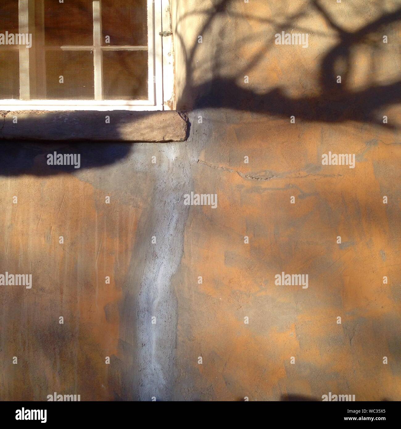 Tree Shadow On Wall High Resolution Stock Photography and Images - Alamy