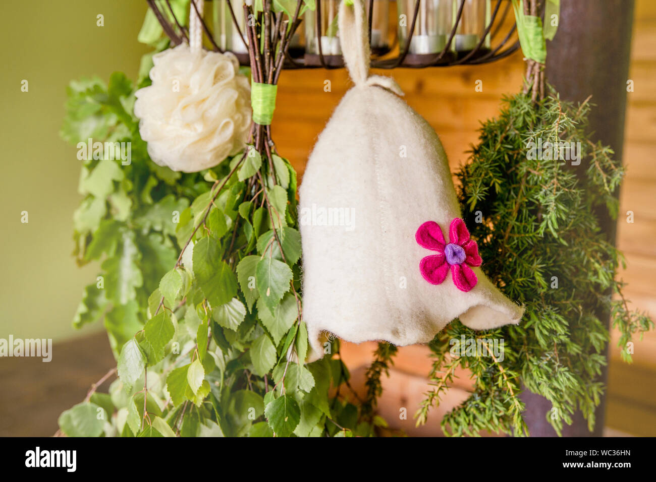 Finnish oak tree High Resolution Stock Photography and Images - Alamy