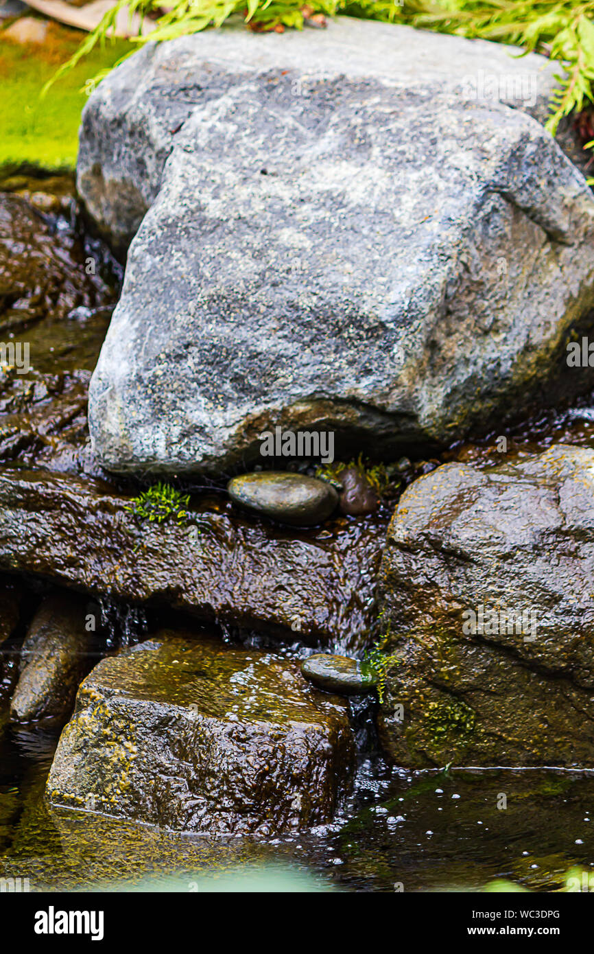 Top-down View of a Tiny Stream, Clean Water, Colorful Pebbles, Moss ...