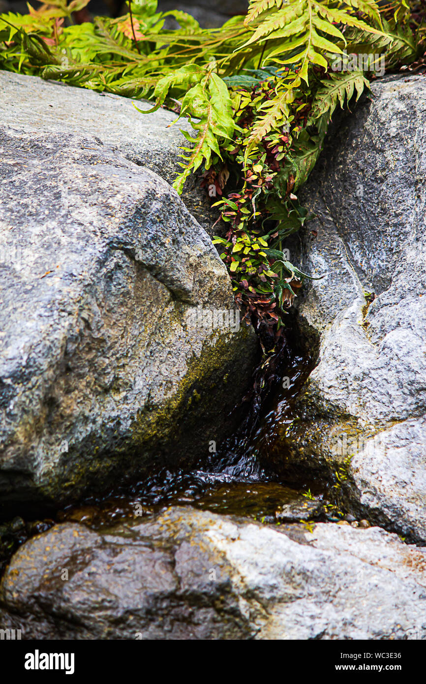 granite rocks with water trickling down the rock face to small pool ...